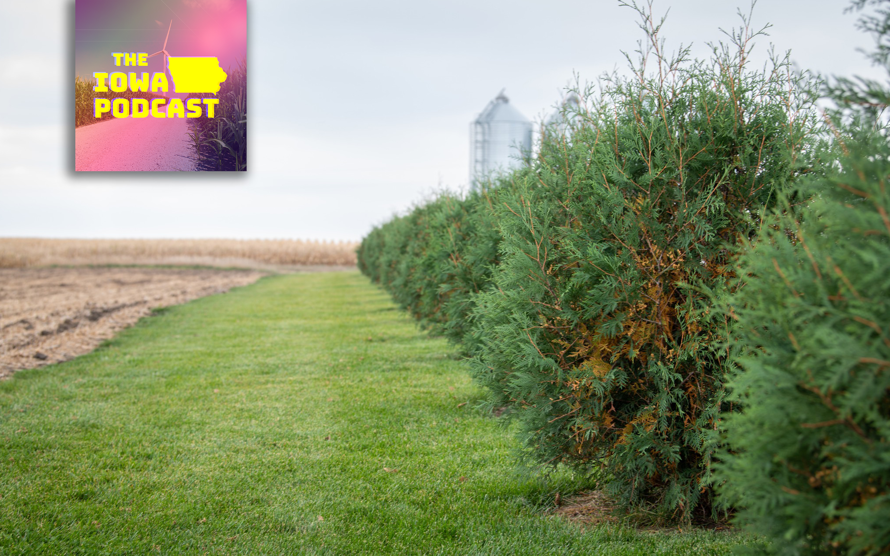Being a Good Neighbor and Supporting Iowa's Farmers